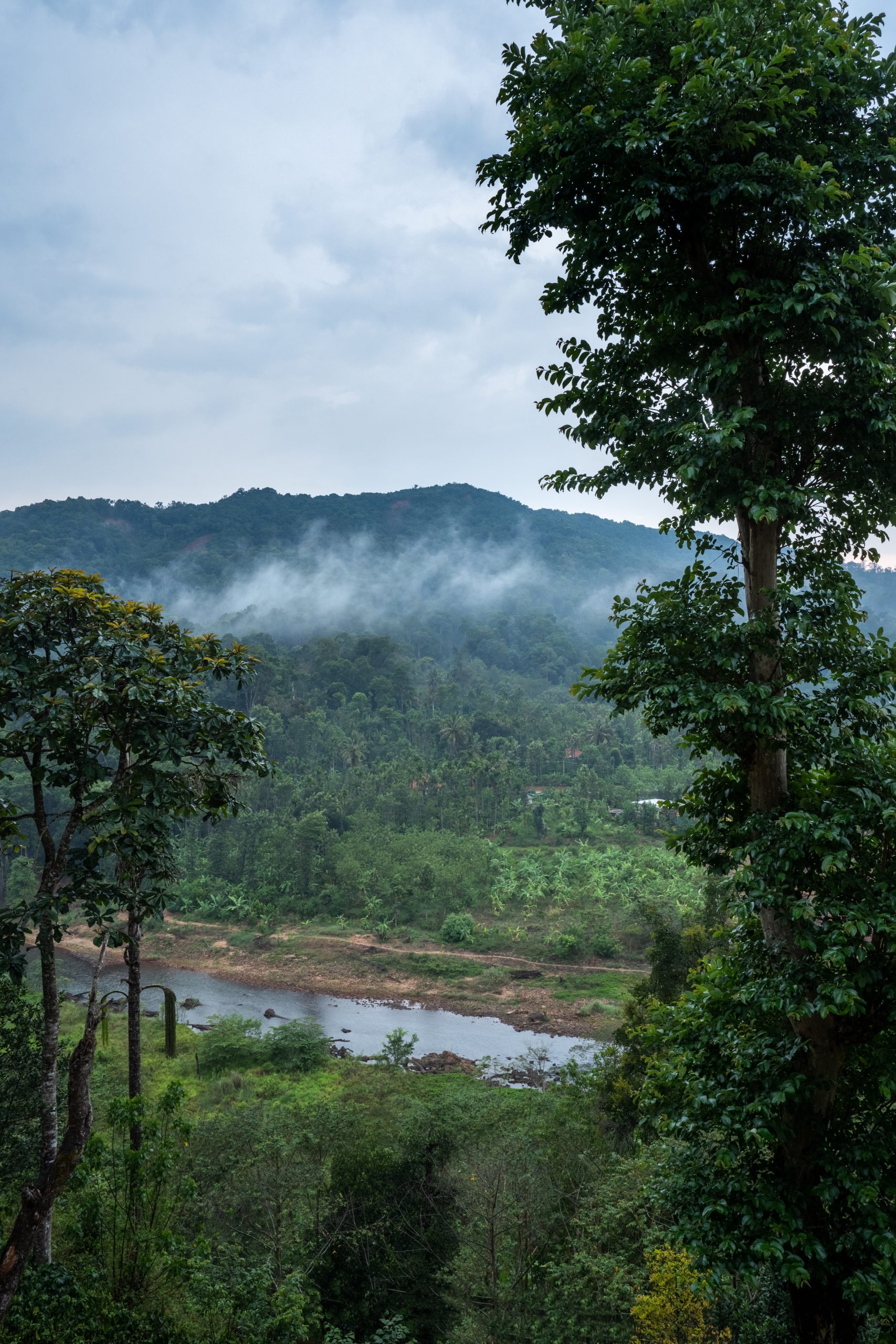 The Ultimate Coorg Travel Guide | Luxury Travellers' Blog | Lohono