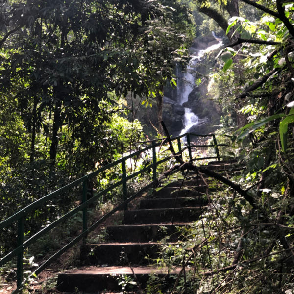 1 Day In Coorg | 15 Best Places To Visit In Coorg In A Day - Lohono ...