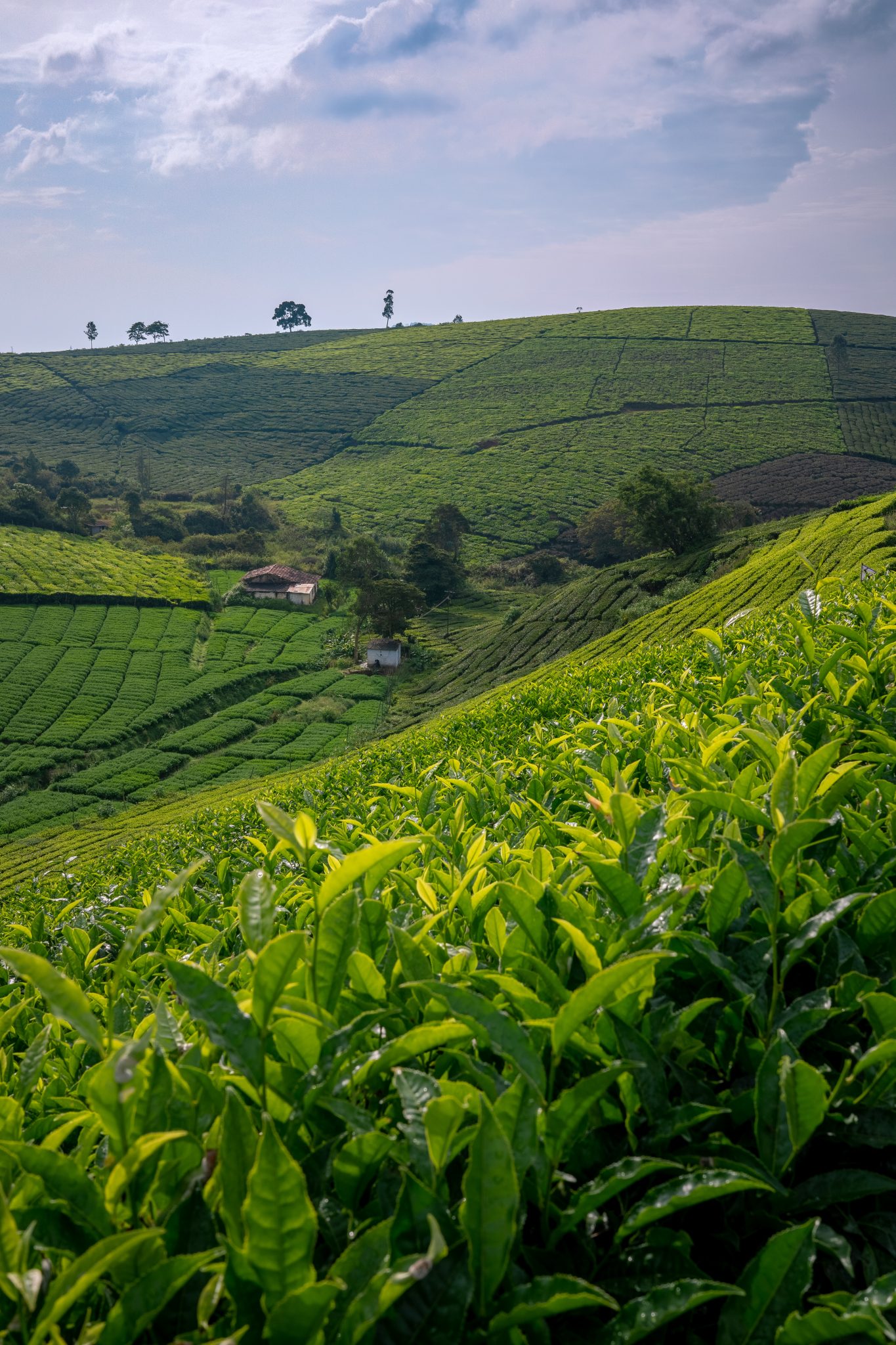 1 Day In Coorg | 15 Best Places To Visit In Coorg In A Day - Lohono ...