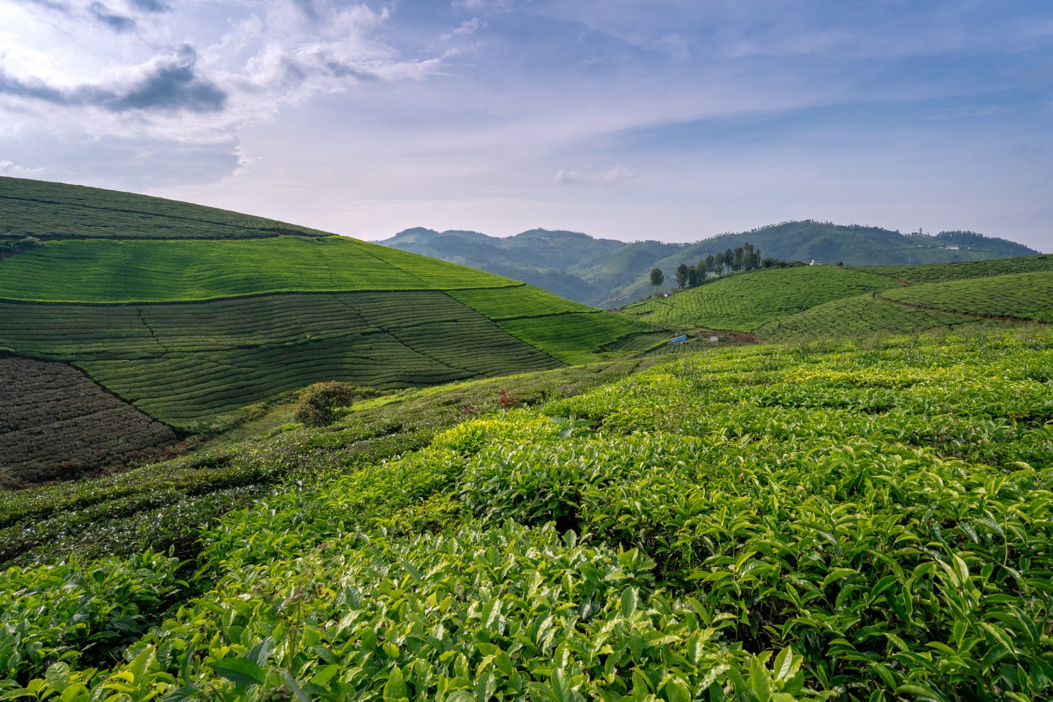 1 Day In Coorg | 15 Best Places To Visit In Coorg In A Day - Lohono ...