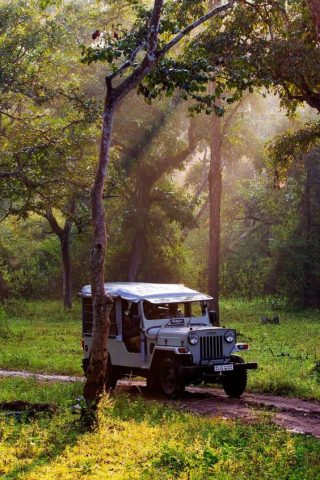 1 Day In Coorg | 15 Best Places To Visit In Coorg In A Day - Lohono ...