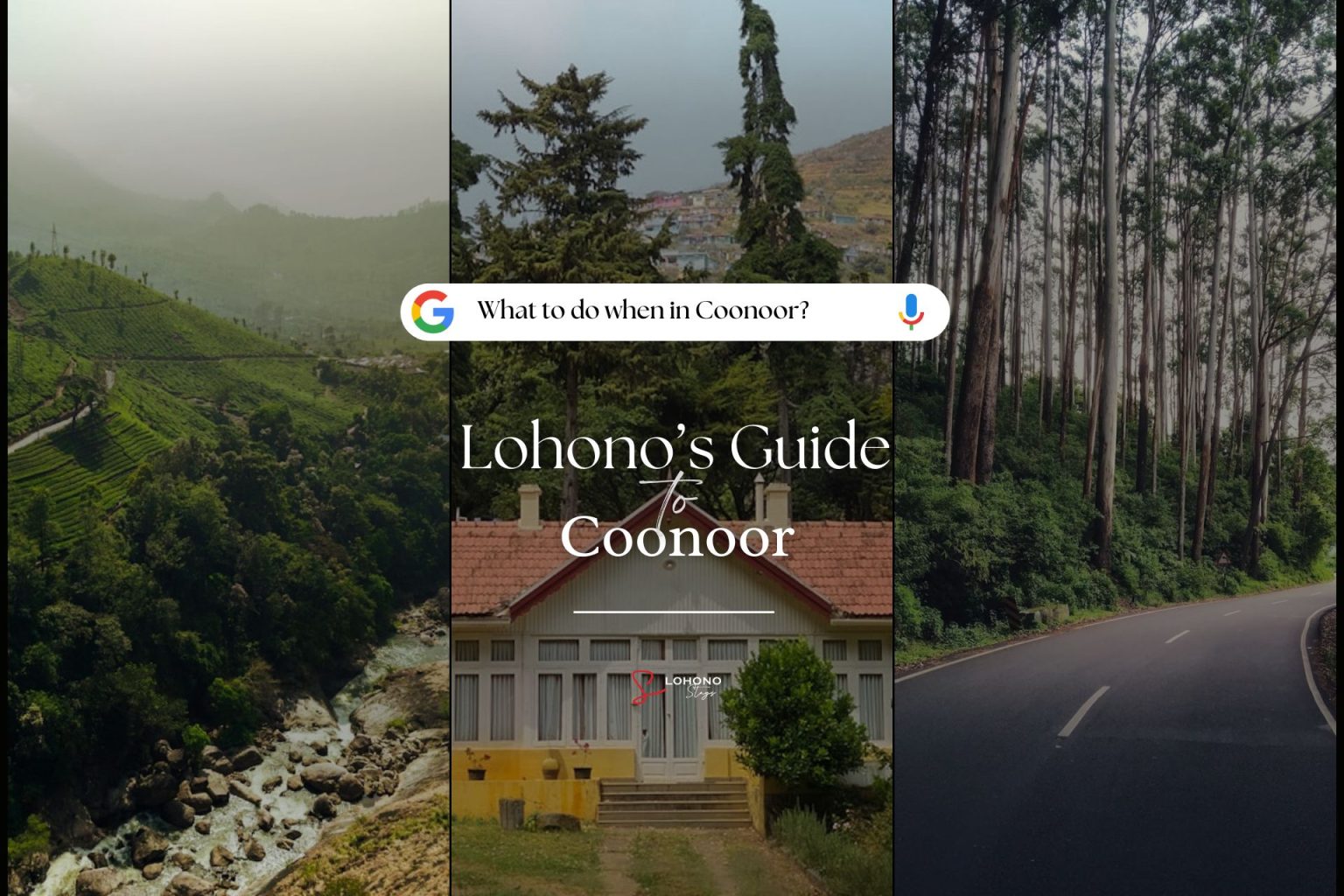 1 Day In Coonoor - What To See & Do, Places To Eat | A Guide - Lohono ...