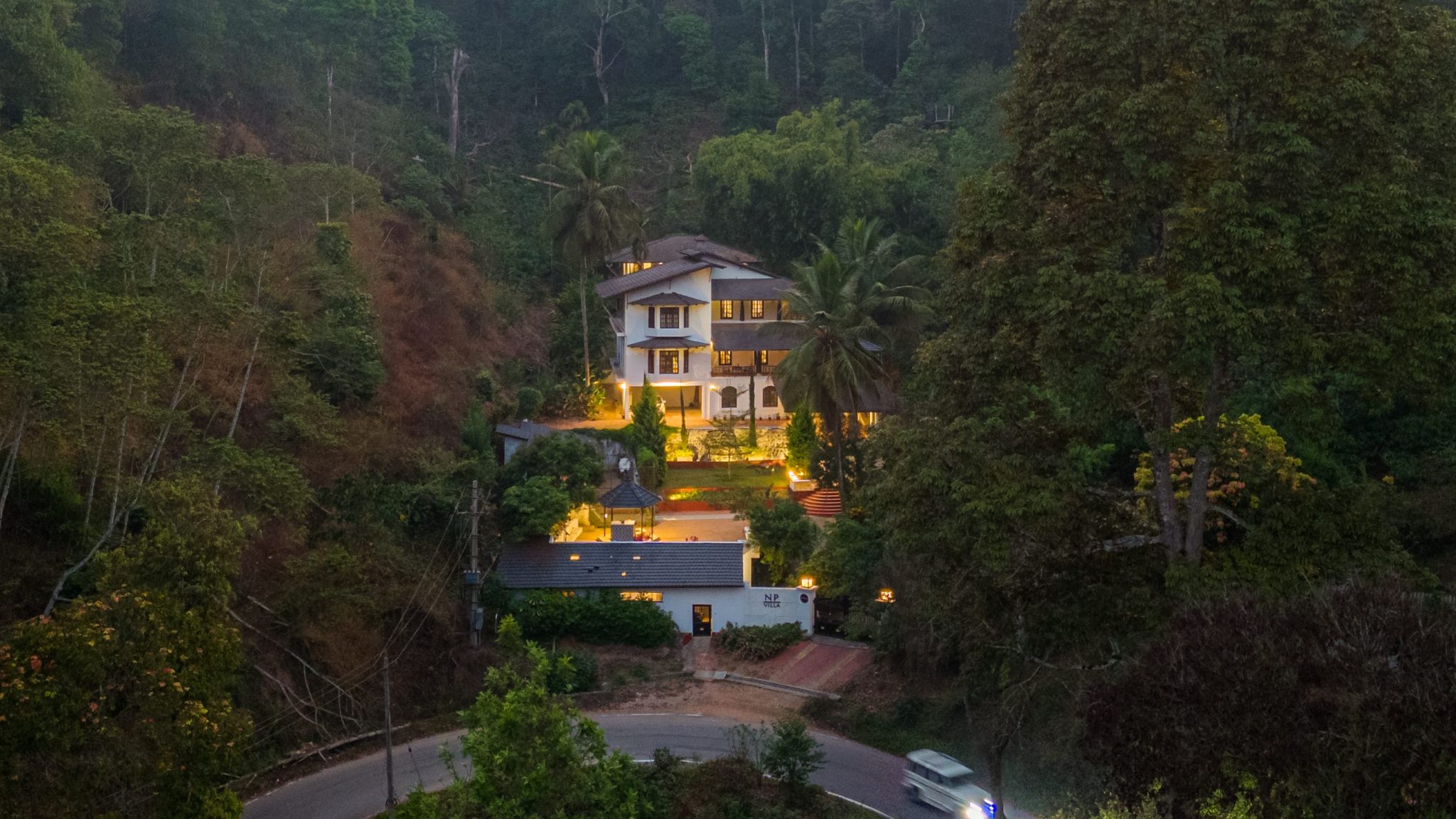 The Rare Bloom of Neelakurinji | Rare Sighting In The Nilgiri's ...