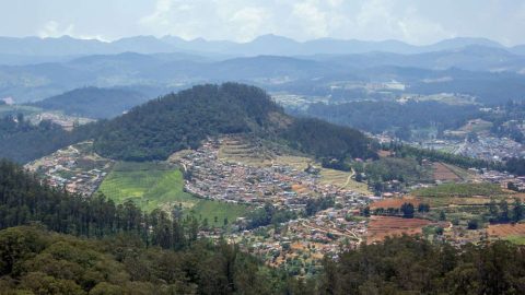 1 Day In Coonoor - What To See & Do, Places To Eat | A Guide - Lohono Stays Blog