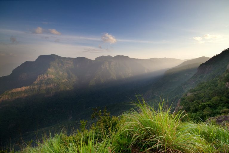 1 Day In Coonoor - What To See & Do, Places To Eat | A Guide - Lohono Stays Blog