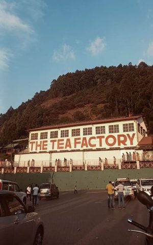 1 Day In Coonoor - What To See & Do, Places To Eat | A Guide - Lohono ...