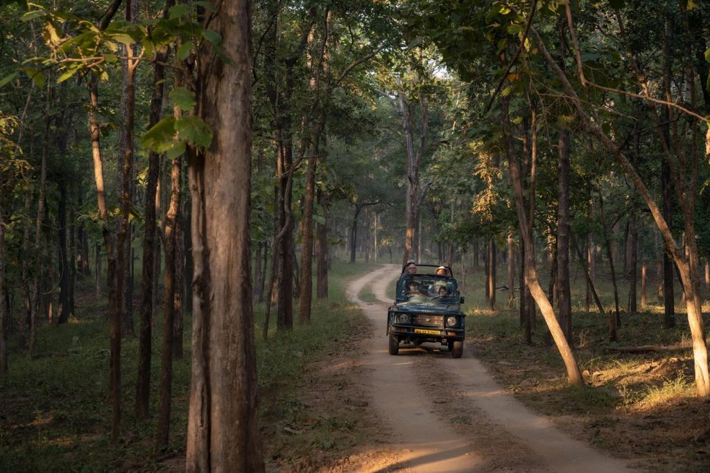Bandipur National Park: How to Reach, Safari Cost | Lohono Guide